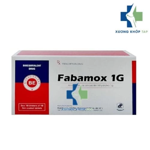 Fabamox 1g - Điều trị các trường hợp nhiễm khuẩn