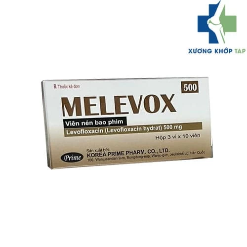 Melevox - Thuốc điều trị nhiễm trùng hô hấp