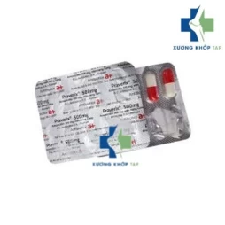 Praverix 500mg - Thuốc điều trị tình trạng viêm phổi